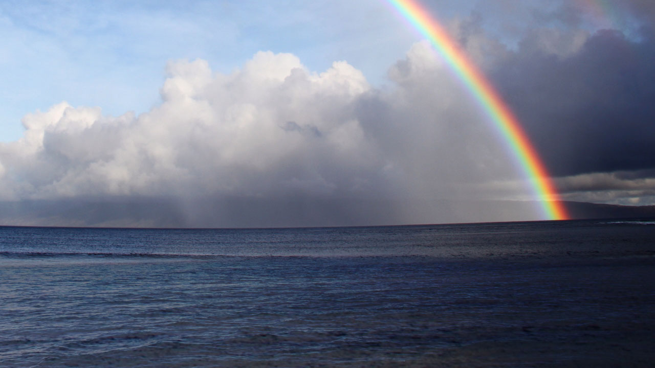 Free Weather Forecast Service | TIMEZERO